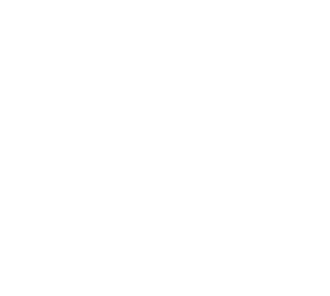 IRES Piemonte – BESS